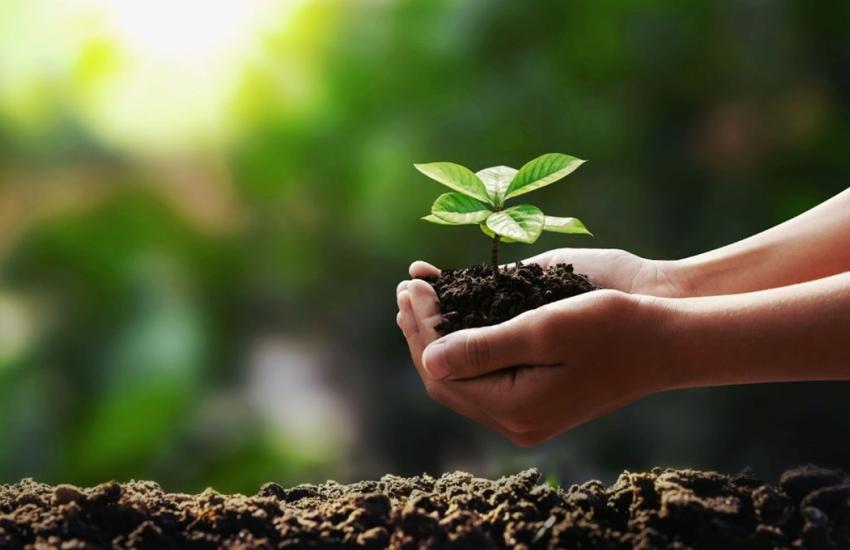 Invest in the missing middle to boost smallholder farmers’ climate ...